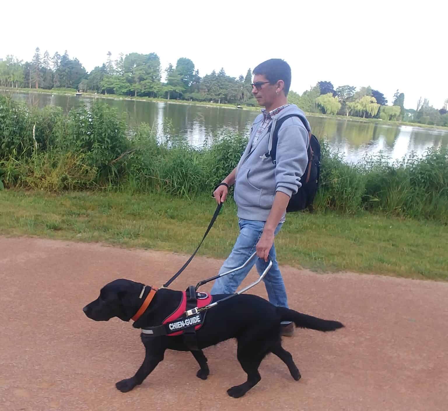 Demande de chien guide - chiens guides d'aveugles association Cecidev